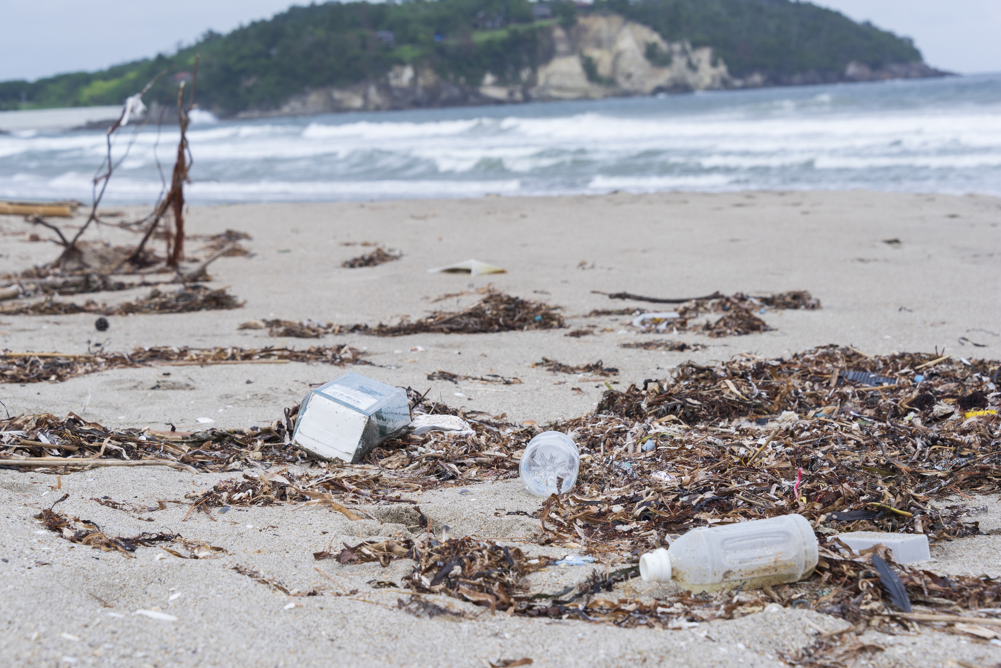 STEP1┃SDGsとは？SDGsを理解し、企業が取り組むメリットを知る。 | コラム | サステナブルグッズ制作「SUSPRO」公式サイト