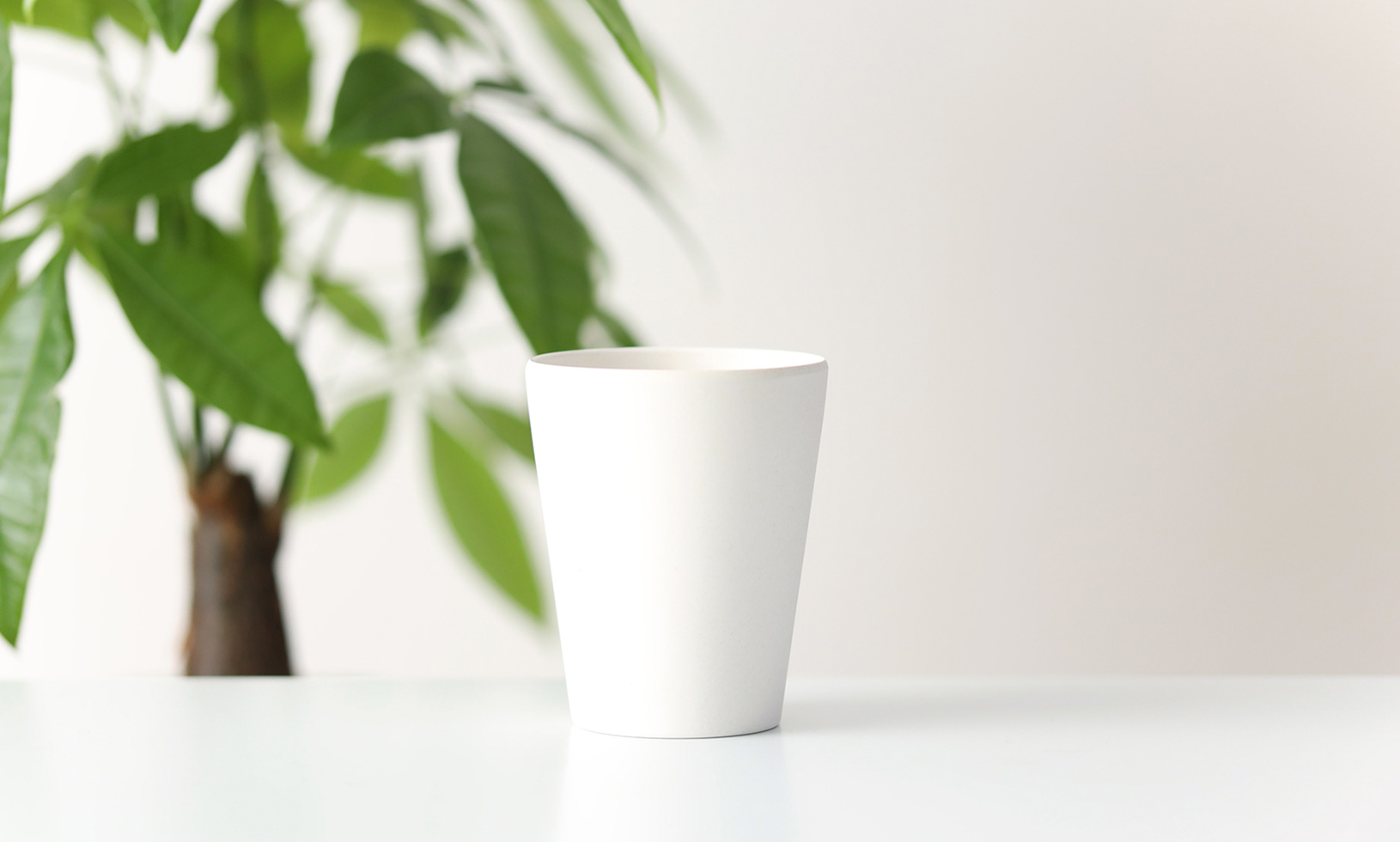 バンブーファイバー配合 カップ（SUS Bamboo Fiber Cup） | SUS amenity | サステナブルグッズ・アメニティ制作 ...